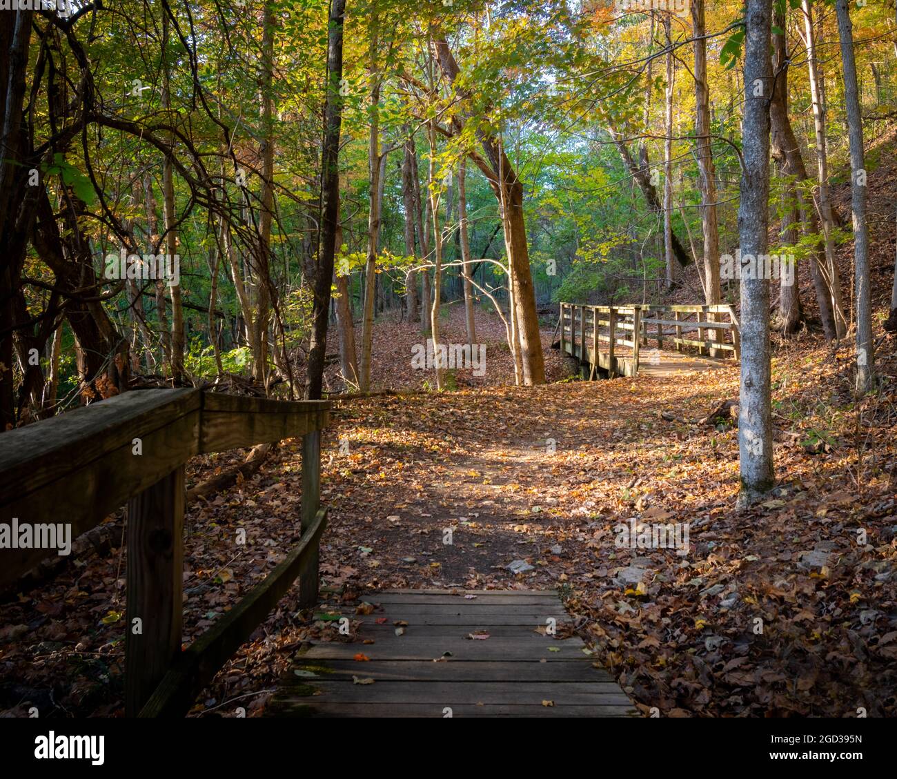 Clifty falls state park hi-res stock photography and images - Alamy