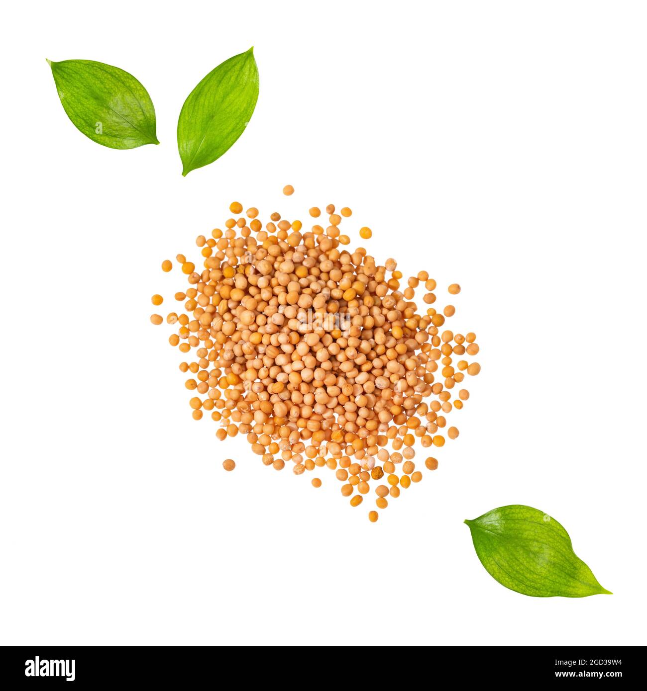 Dried white mustard seed pile - Sinapis alba Stock Photo - Alamy