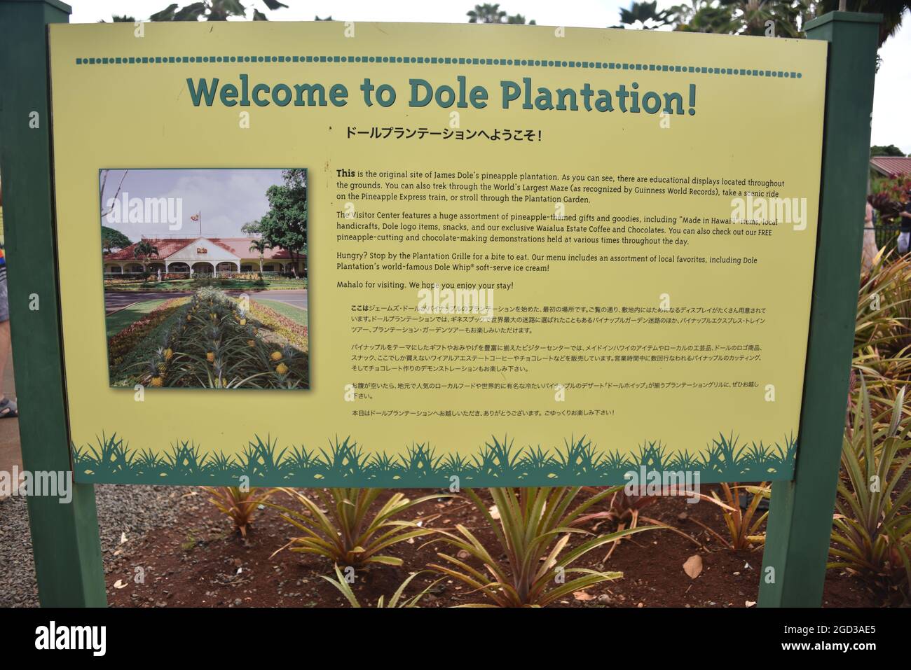 Hawaii dole plantation maze hi-res stock photography and images - Alamy