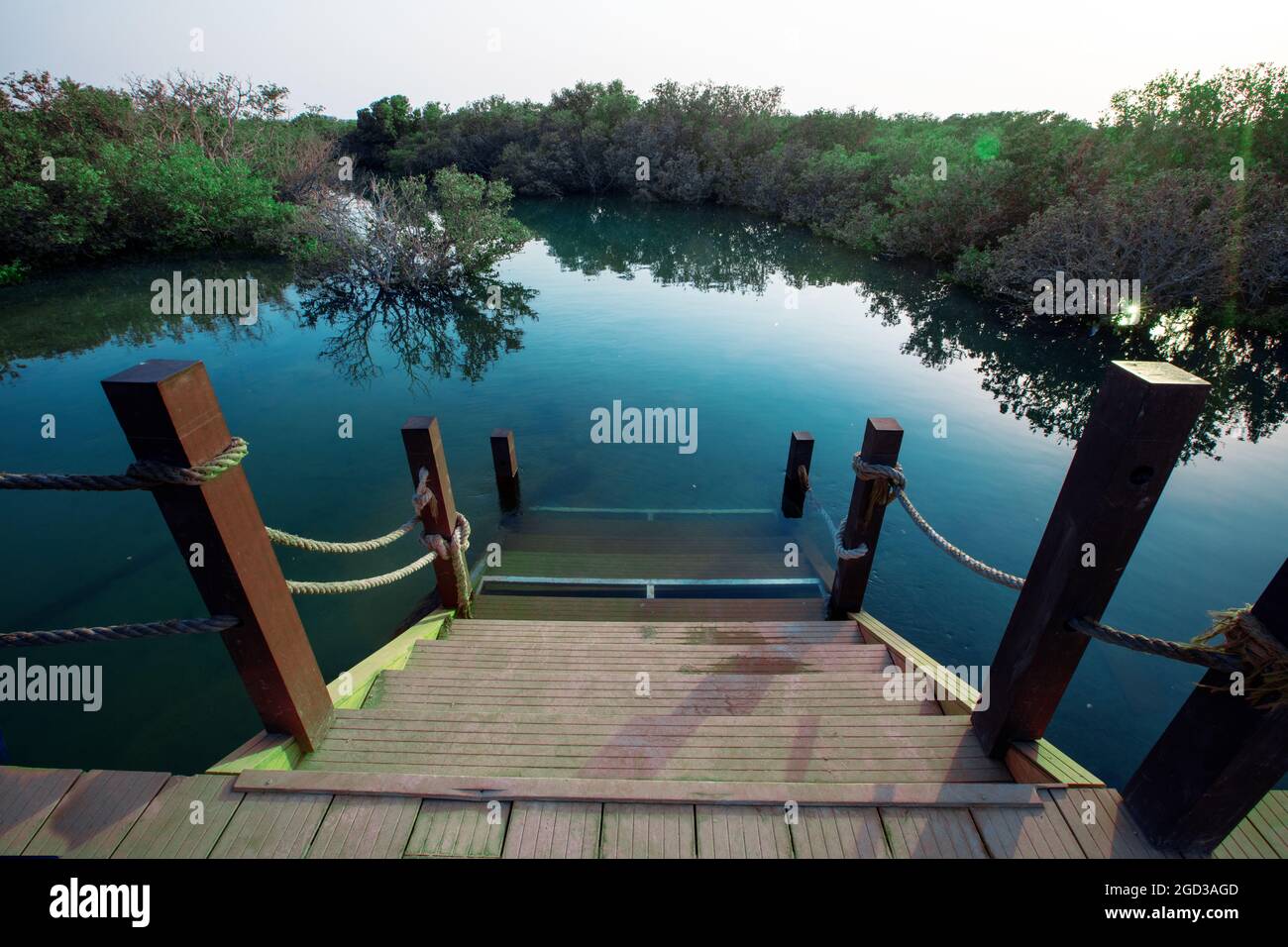 Purple Island, is an island located in the municipality of Al Khor on ...