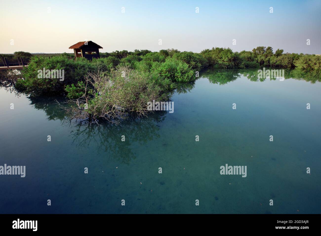 Purple Island, is an island located in the municipality of Al Khor on ...