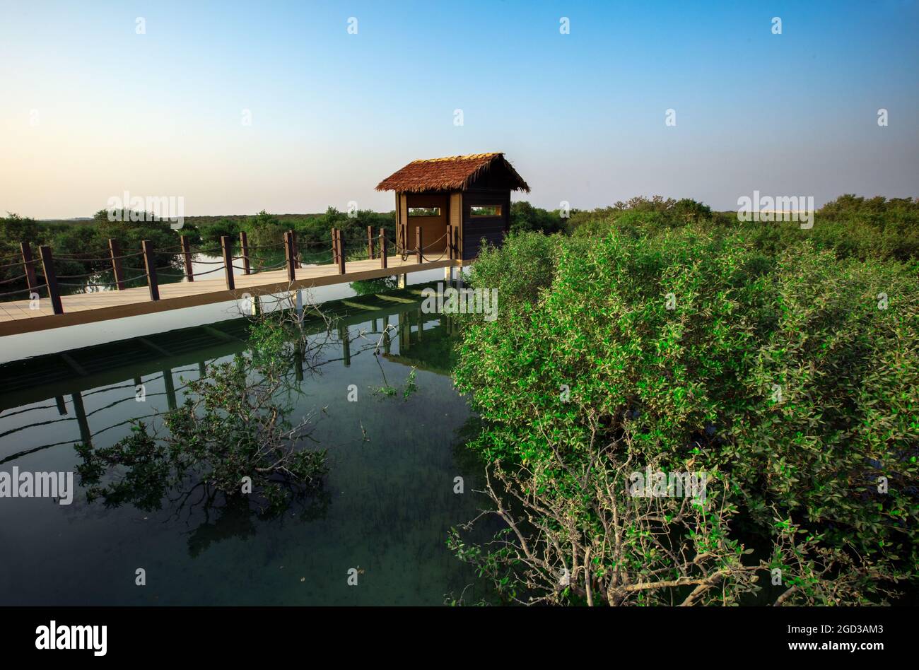 Purple Island, is an island located in the municipality of Al Khor on ...