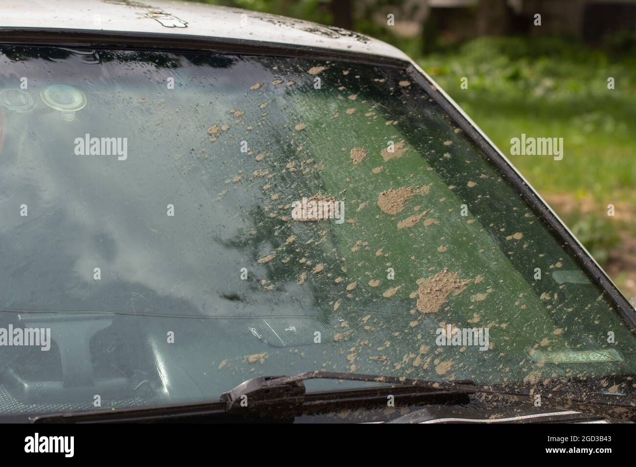 Dirty car glass. Dirt on the windshield. Car after the trip. Glass with ...