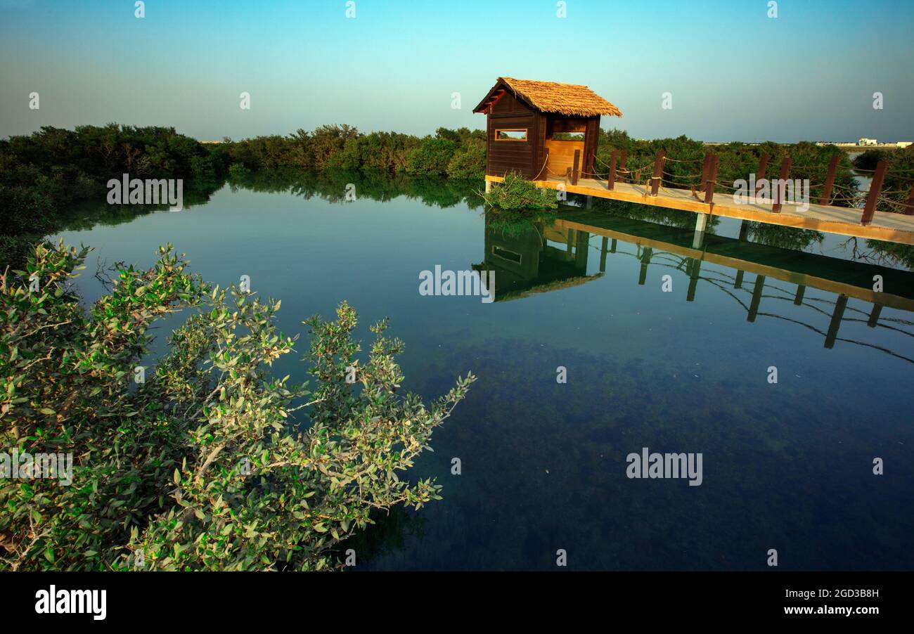 Purple Island, is an island located in the municipality of Al Khor on ...