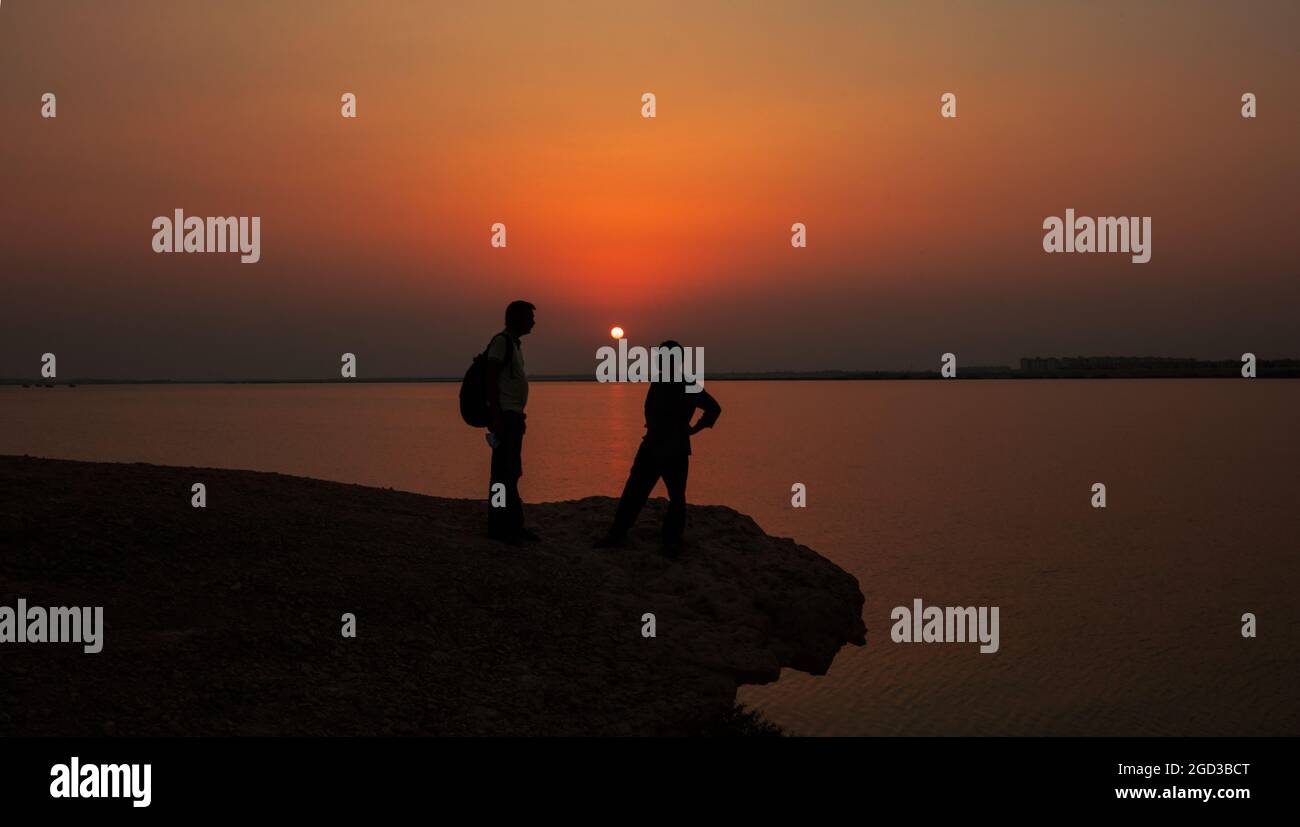 Mangrove swamp qatar hi-res stock photography and images - Alamy