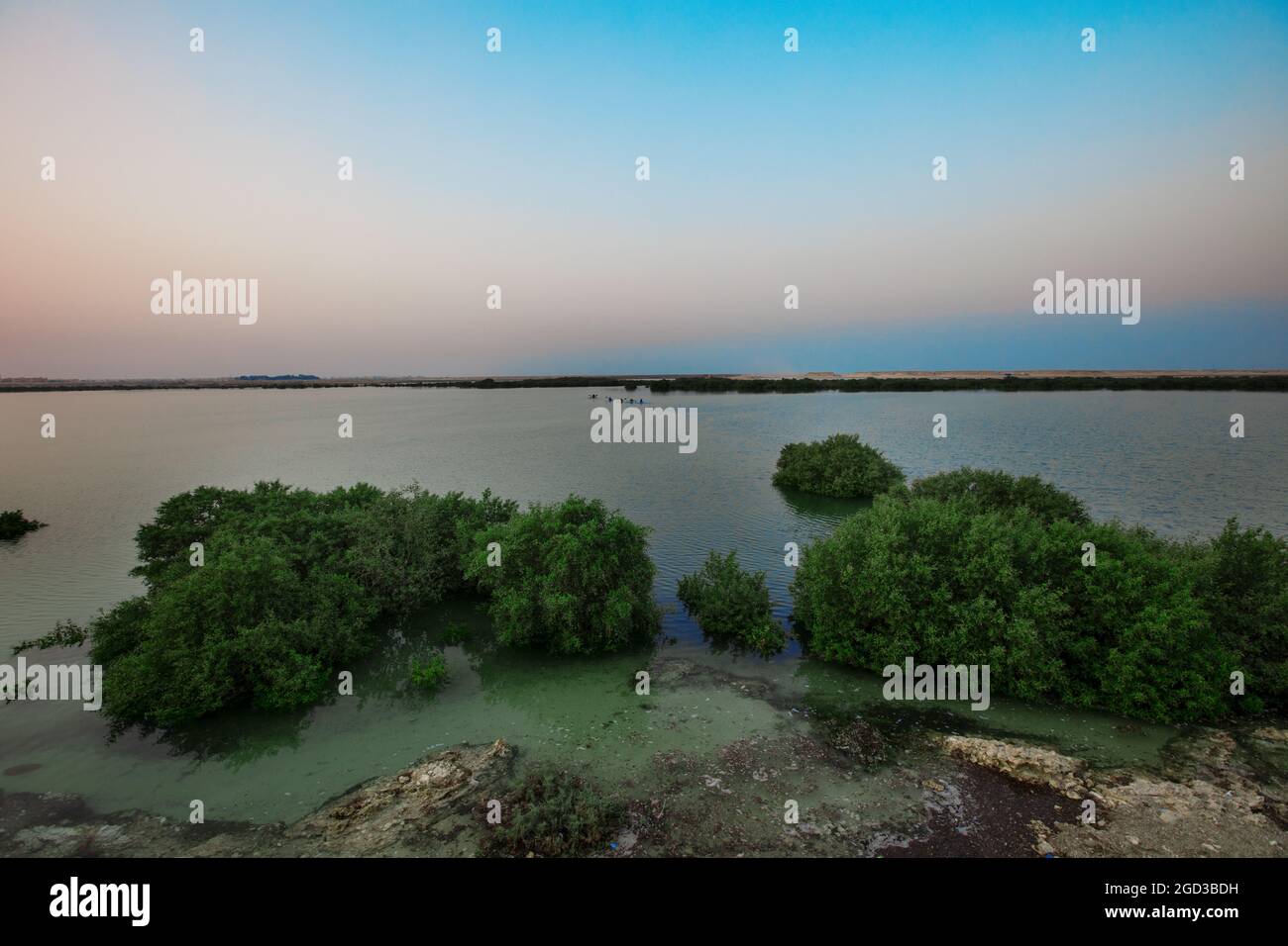 Purple Island, is an island located in the municipality of Al Khor on ...
