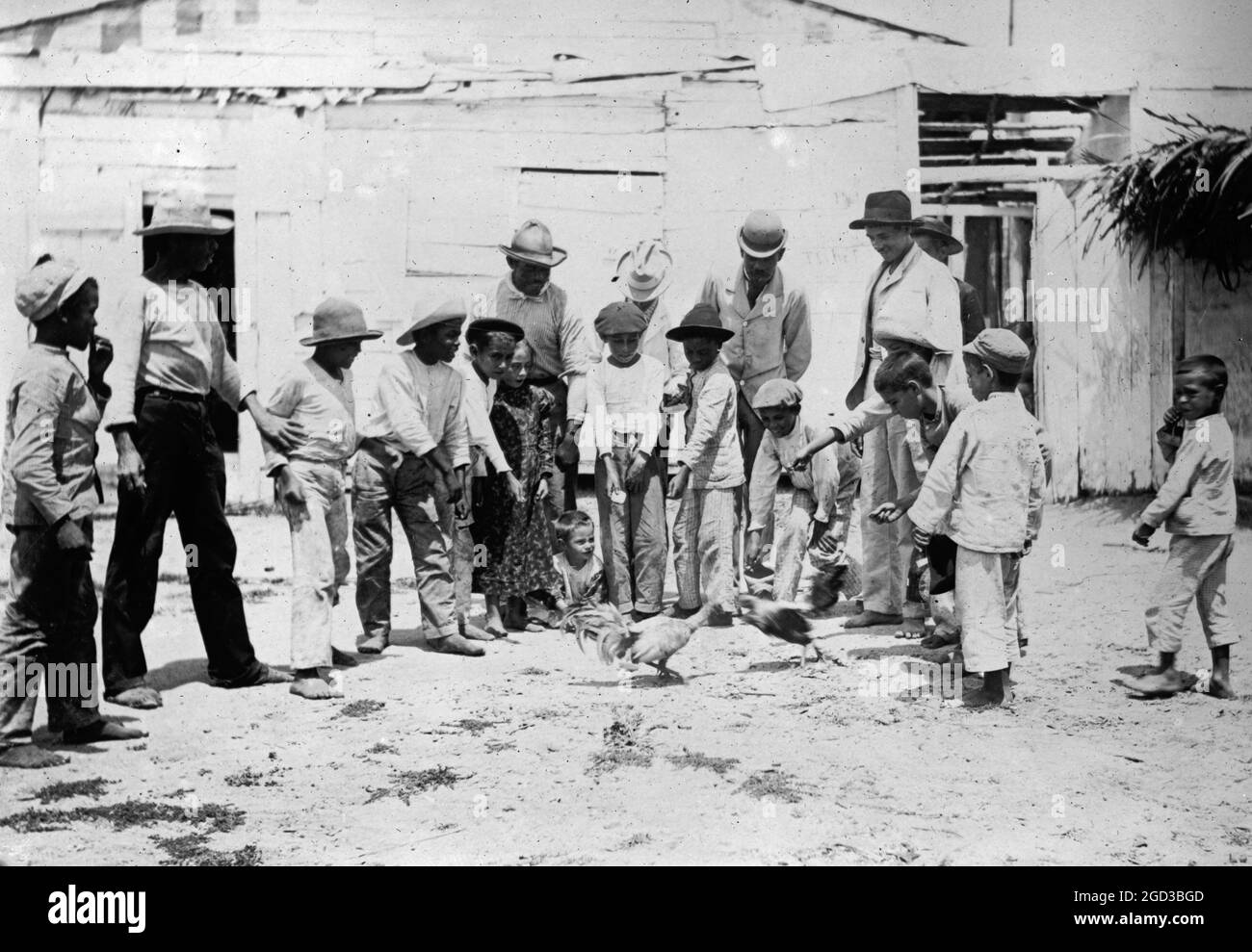 Men and children in Puerto Rico watching a cock fight ca. between 1909 ...