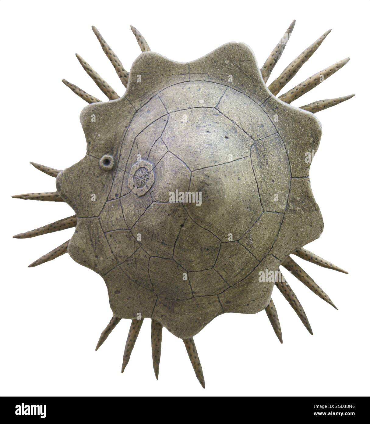 Prehistoric Echinoderms