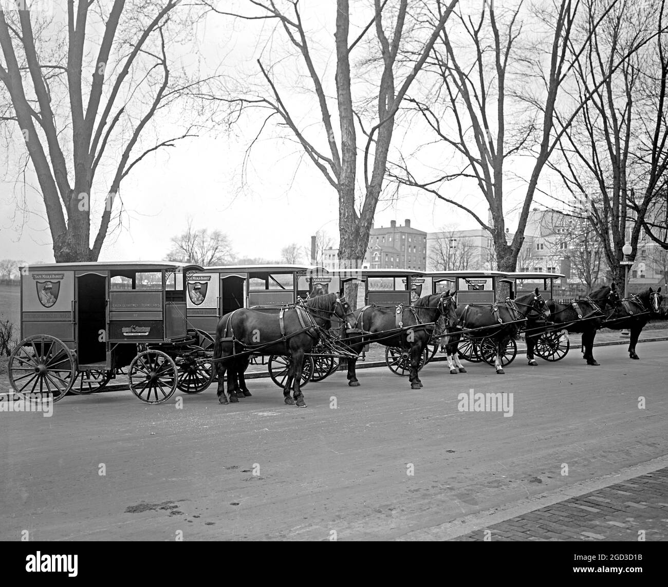 Archival horse drawn milk carts hi-res stock photography and images - Alamy