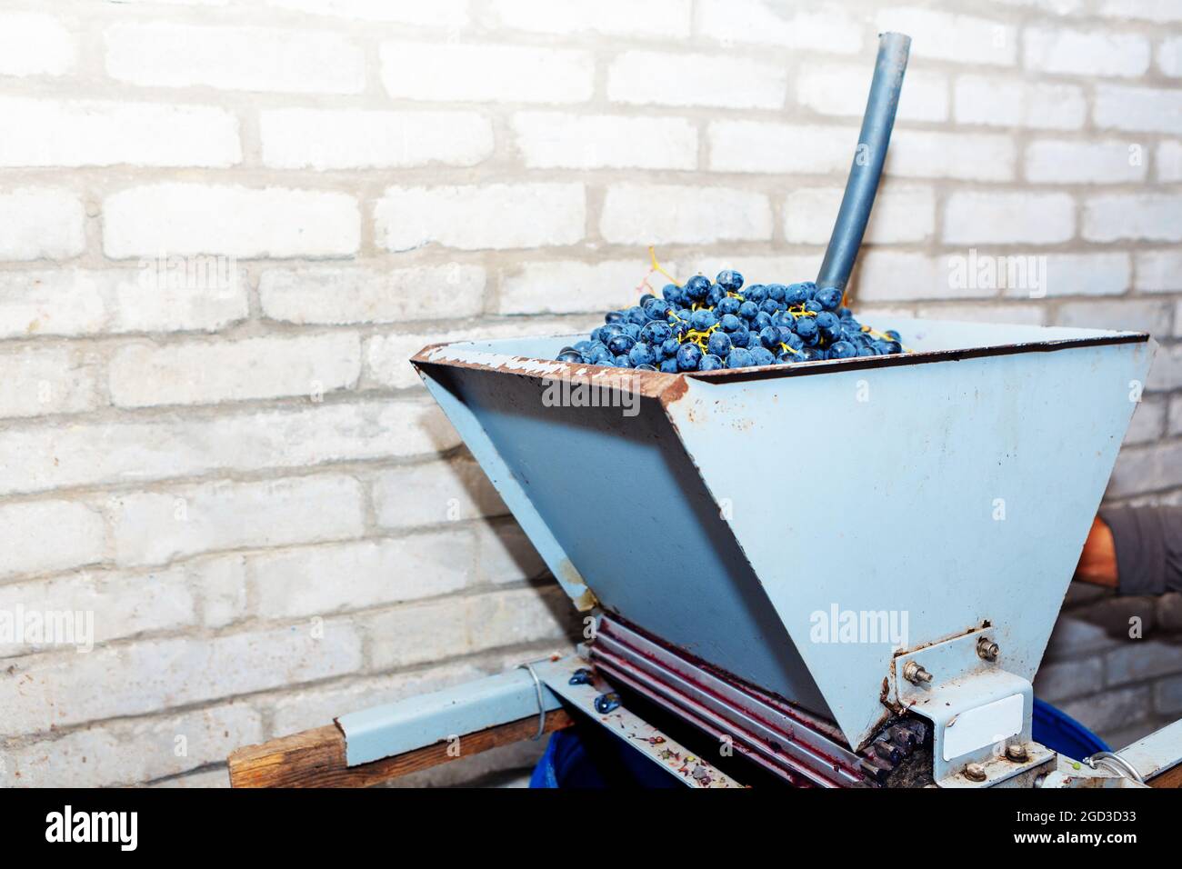 Crusher for grapes with toothed rolls . Home wine making machine Stock ...