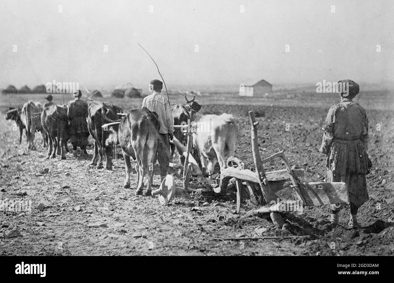 Early 1900s caucasus mountains hi-res stock photography and images - Alamy