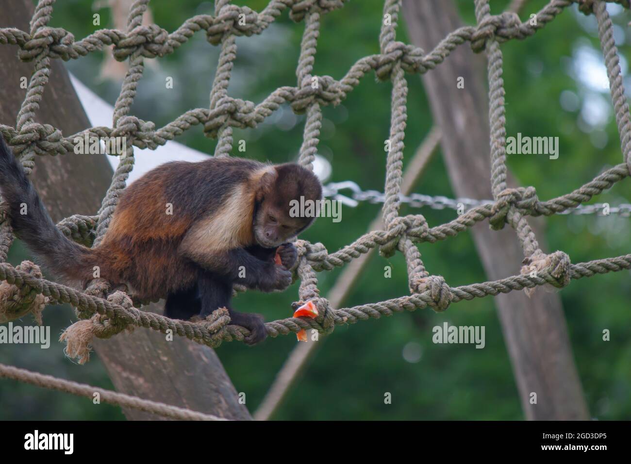 Climbing face shot young hi-res stock photography and images - Alamy