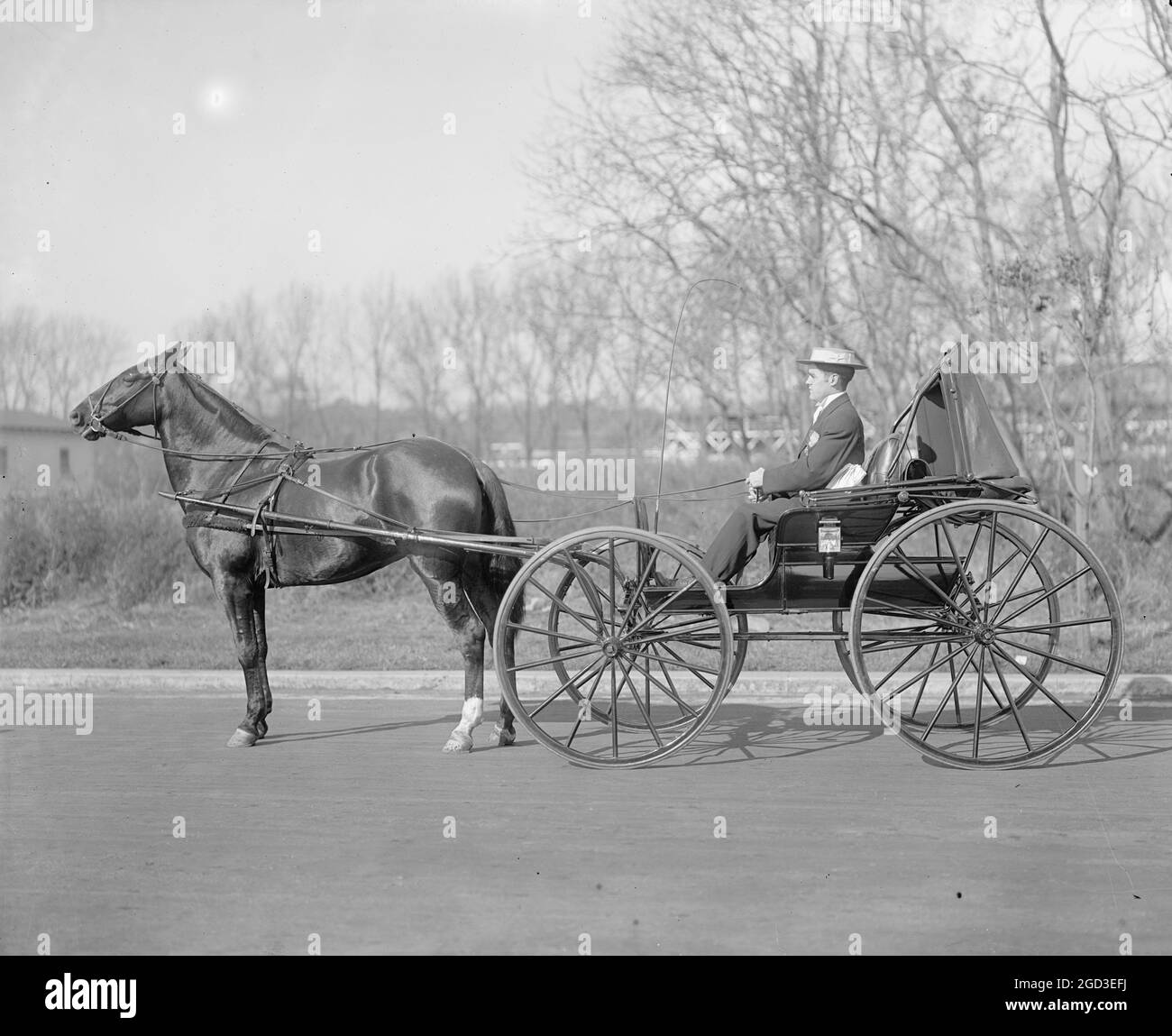 Man driving a horse and carriage ca. between 1910 and 1925 Stock Photo ...