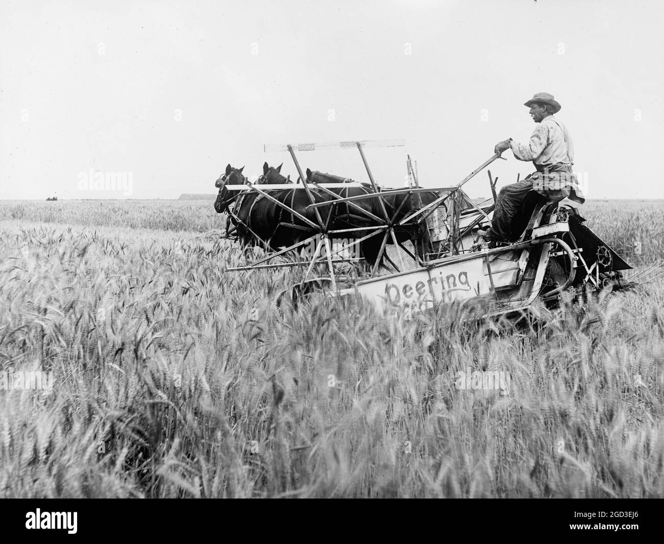 1900s Wheat Farming Equipment