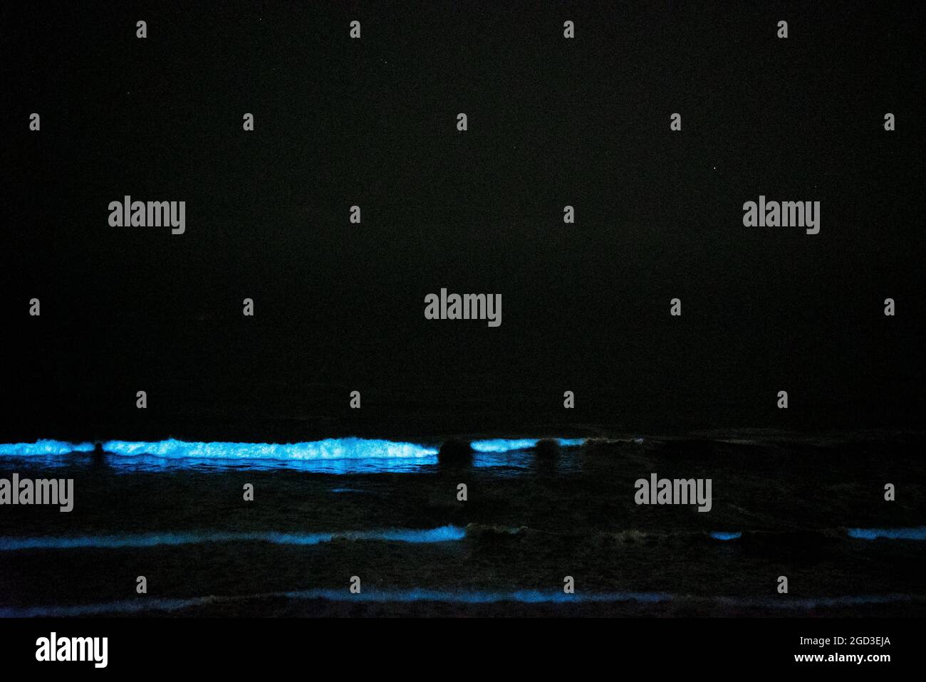 bioluminescent red tide beach Stock Photo - Alamy