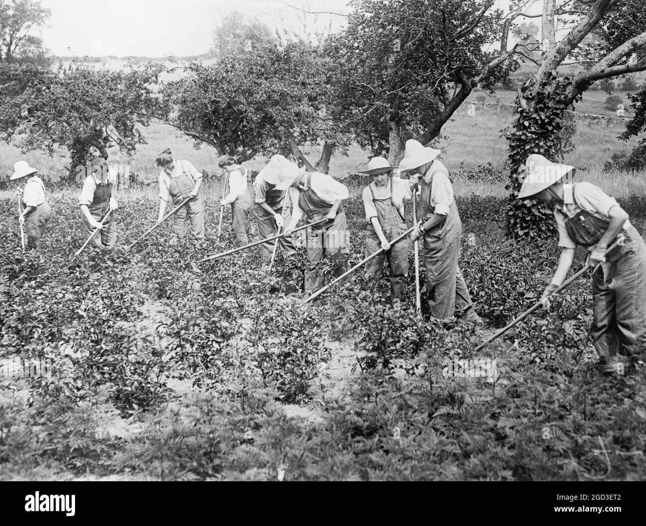 Farmers 1920 hi-res stock photography and images - Alamy