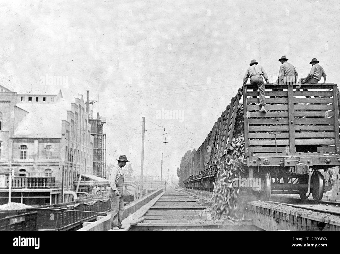 1900s food factory Black and White Stock Photos & Images - Alamy