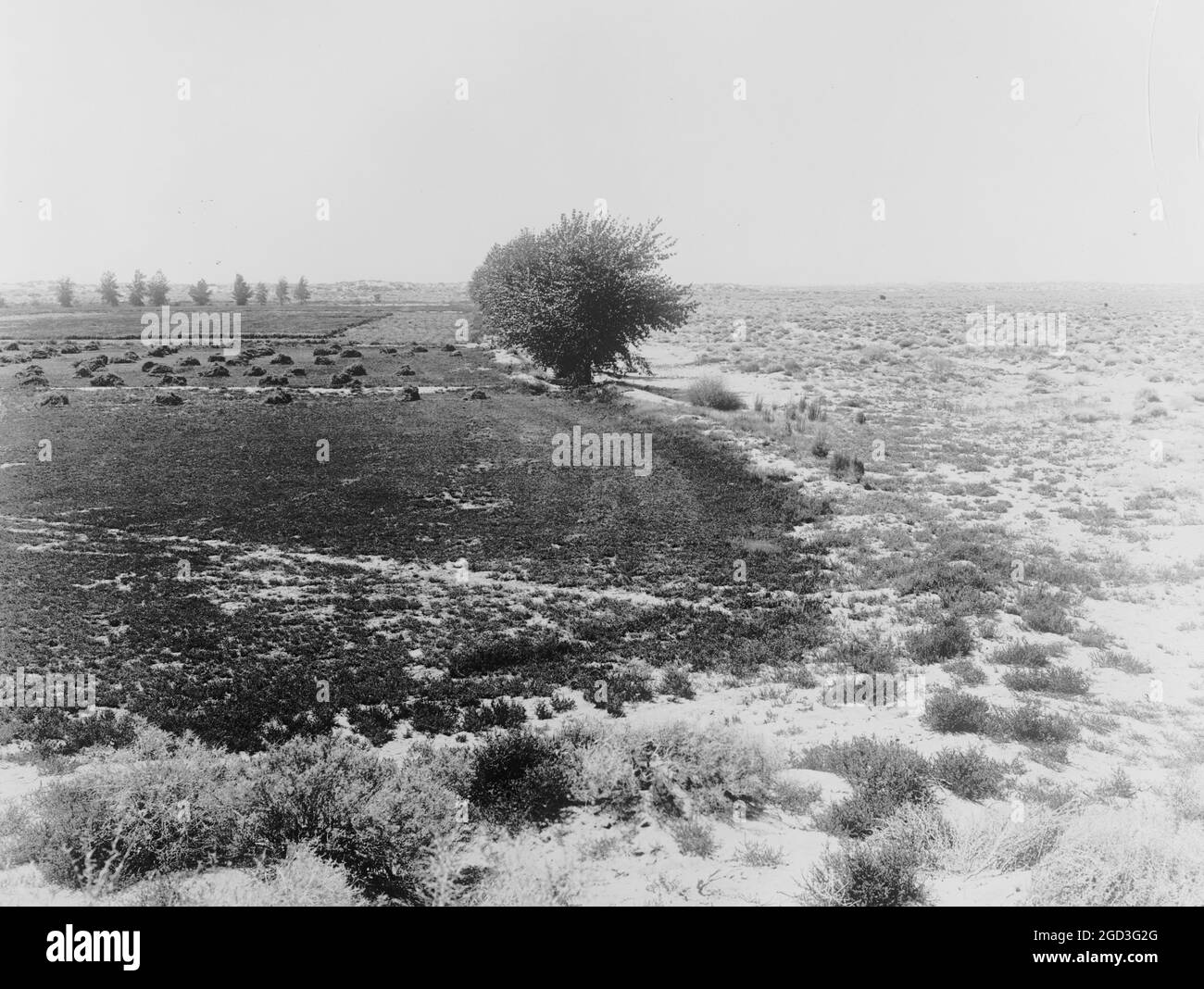 Archival unreclaimed desert hi-res stock photography and images - Alamy