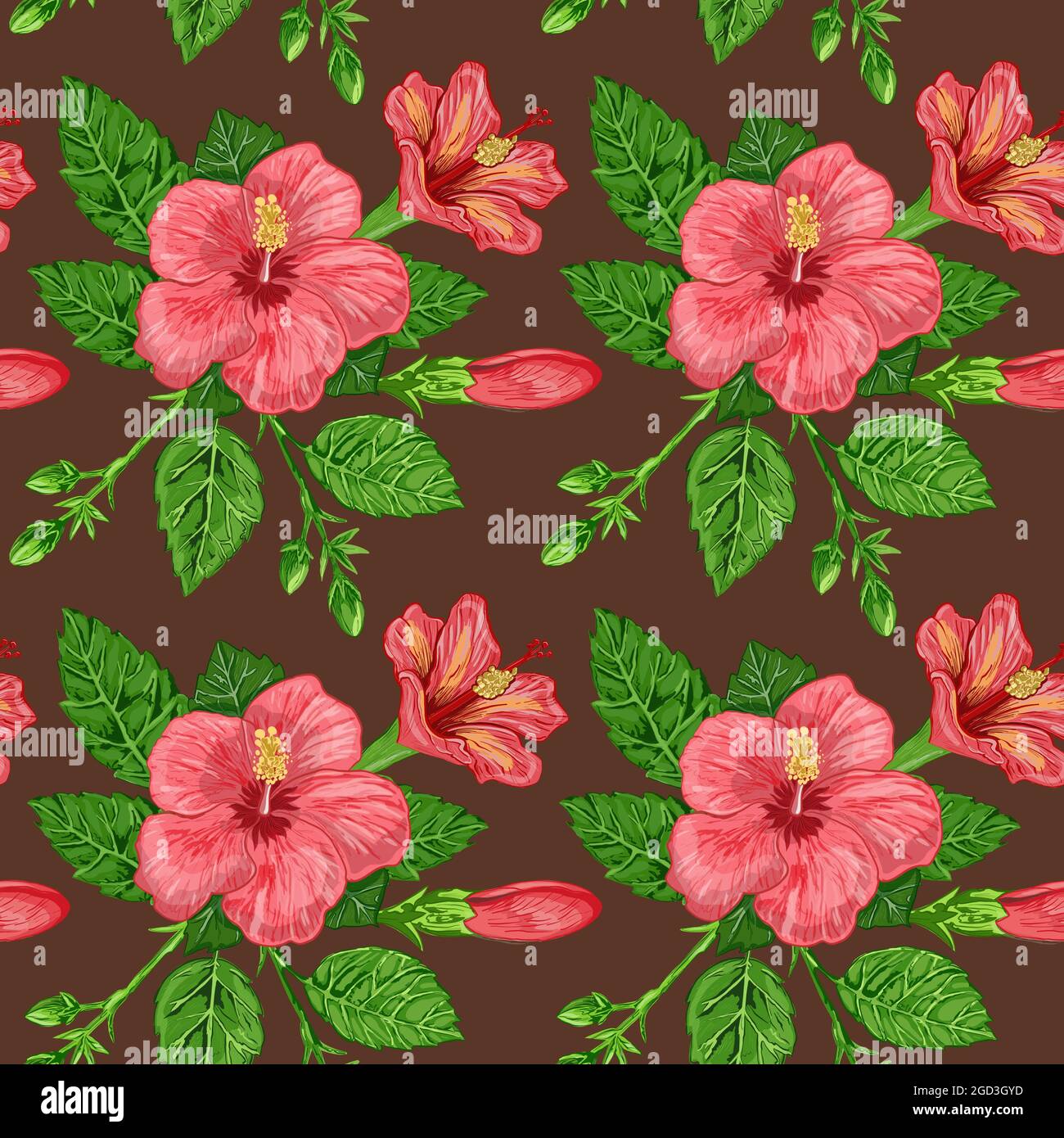 illustration of a seamless pattern of hibiscus plants flowers and ...