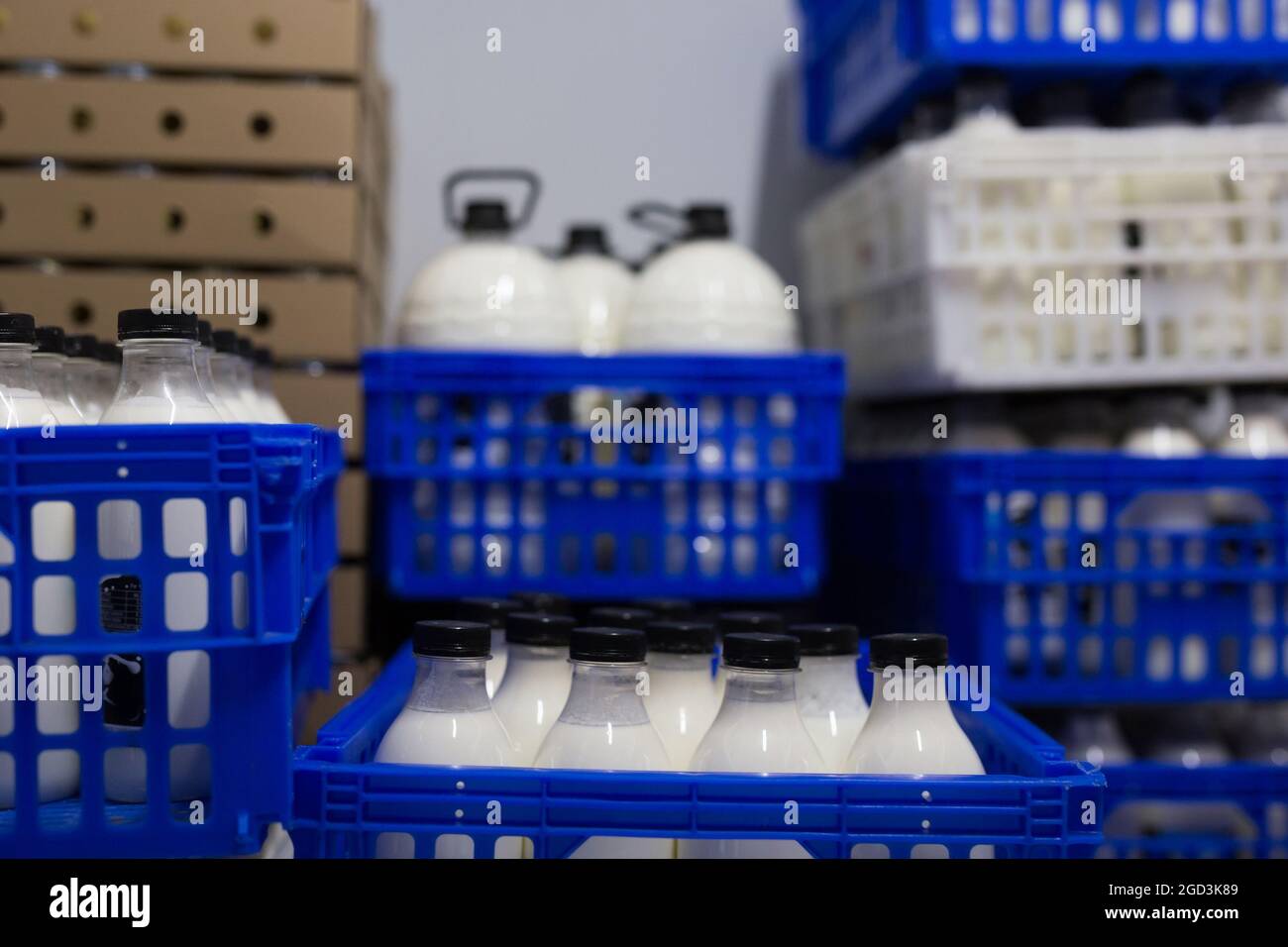 Image of crates of fresh cow's milk Stock Photo - Alamy