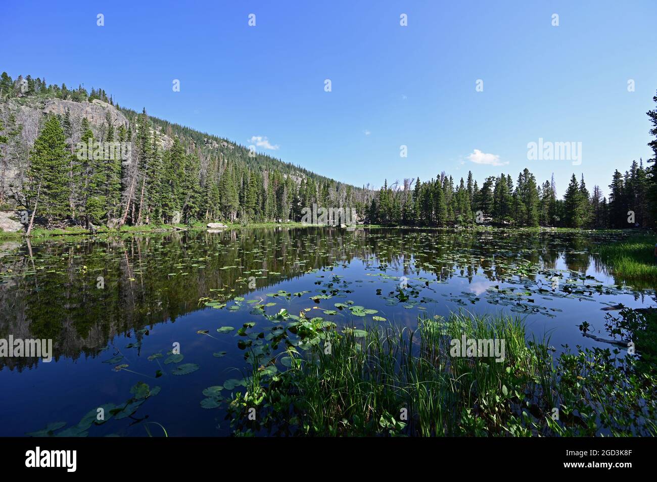 Nymph Lake in Rocky Mountain National Park, Colorado on calm sunny ...
