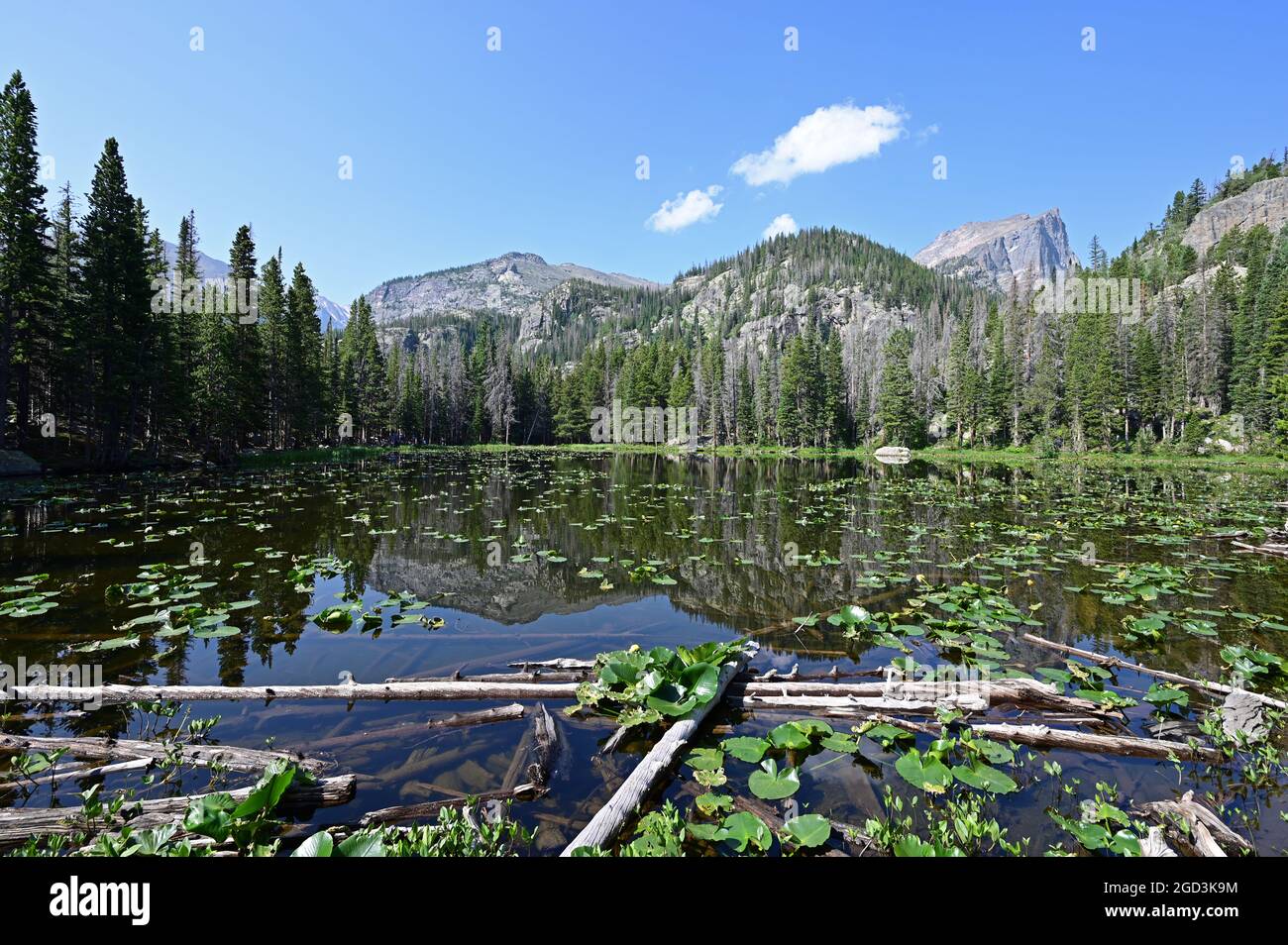 Nymph Lake in Rocky Mountain National Park, Colorado on calm sunny ...