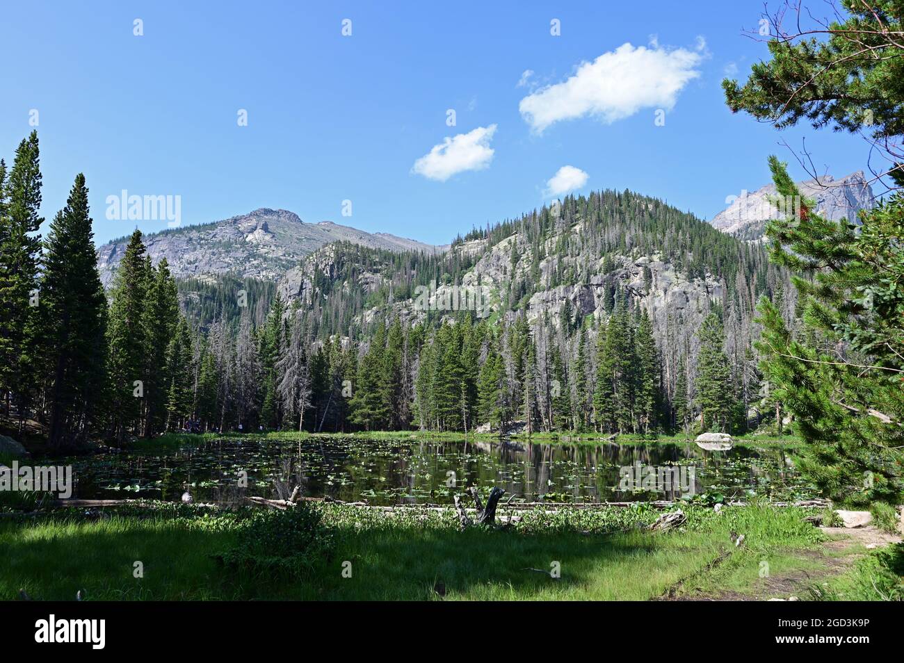 Nymph Lake in Rocky Mountain National Park, Colorado on calm sunny ...
