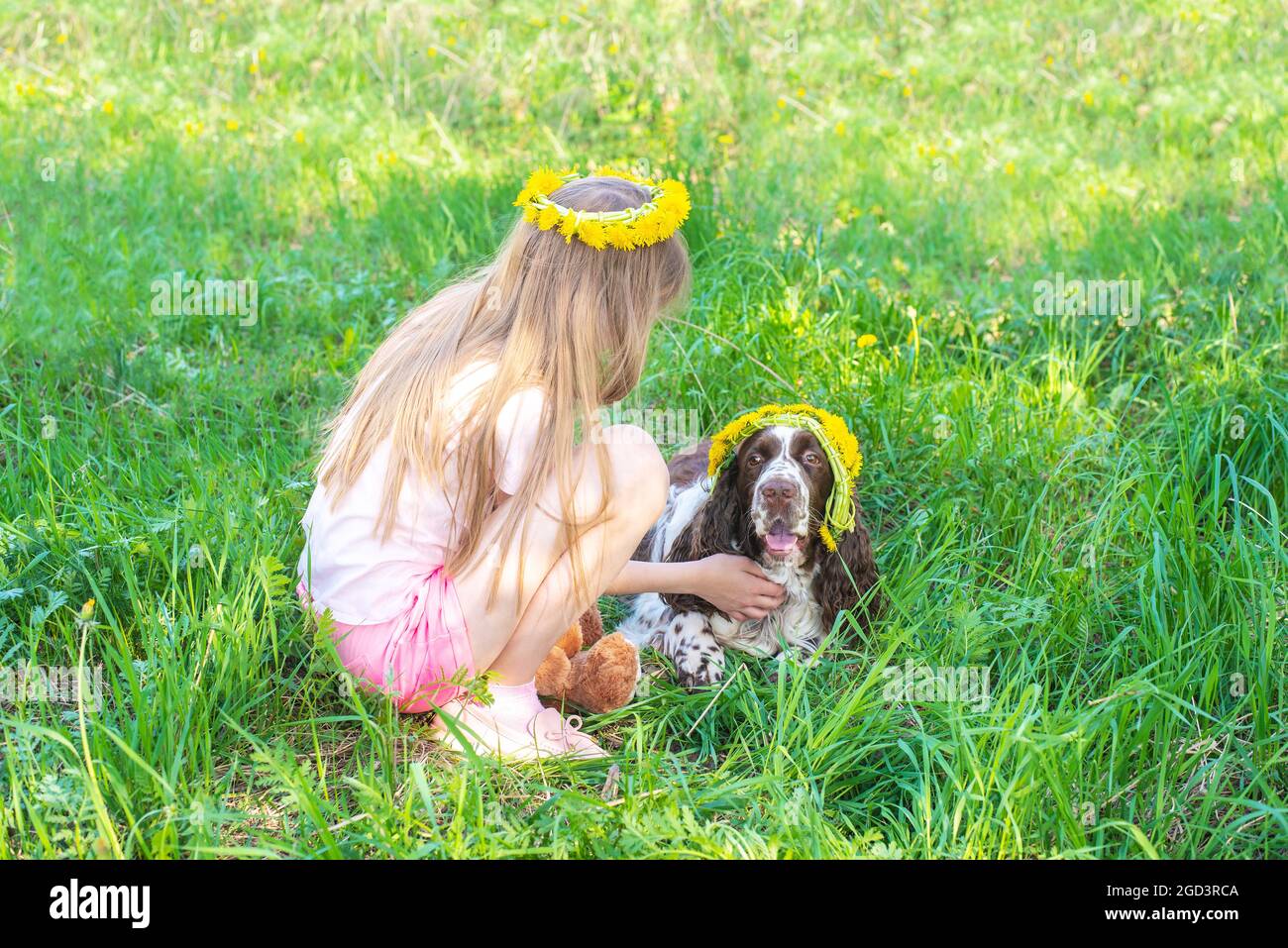 Child and cocker spaniel hi-res stock photography and images - Alamy