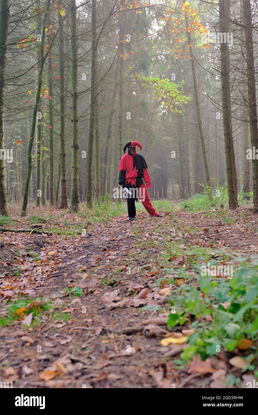 Halloween.scary harlequin. evil jester in the autumn misty forest.Evil ...