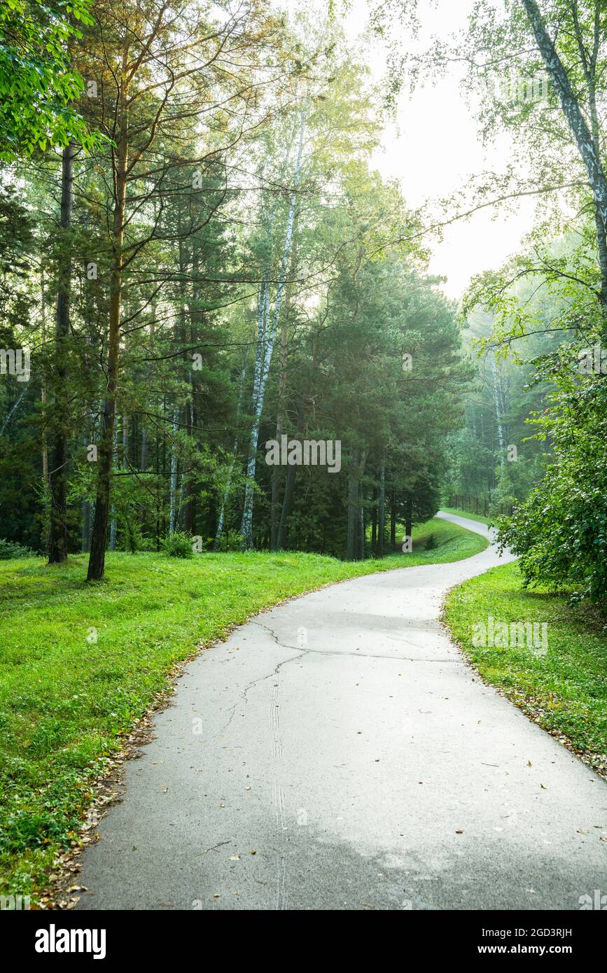 Pathway tranquil nature fog hi-res stock photography and images - Alamy