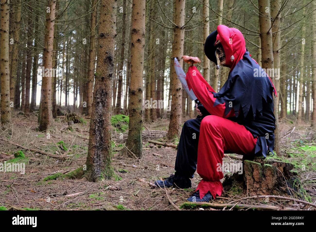 Halloween holiday.scary harlequin. evil jester in the autumn misty ...