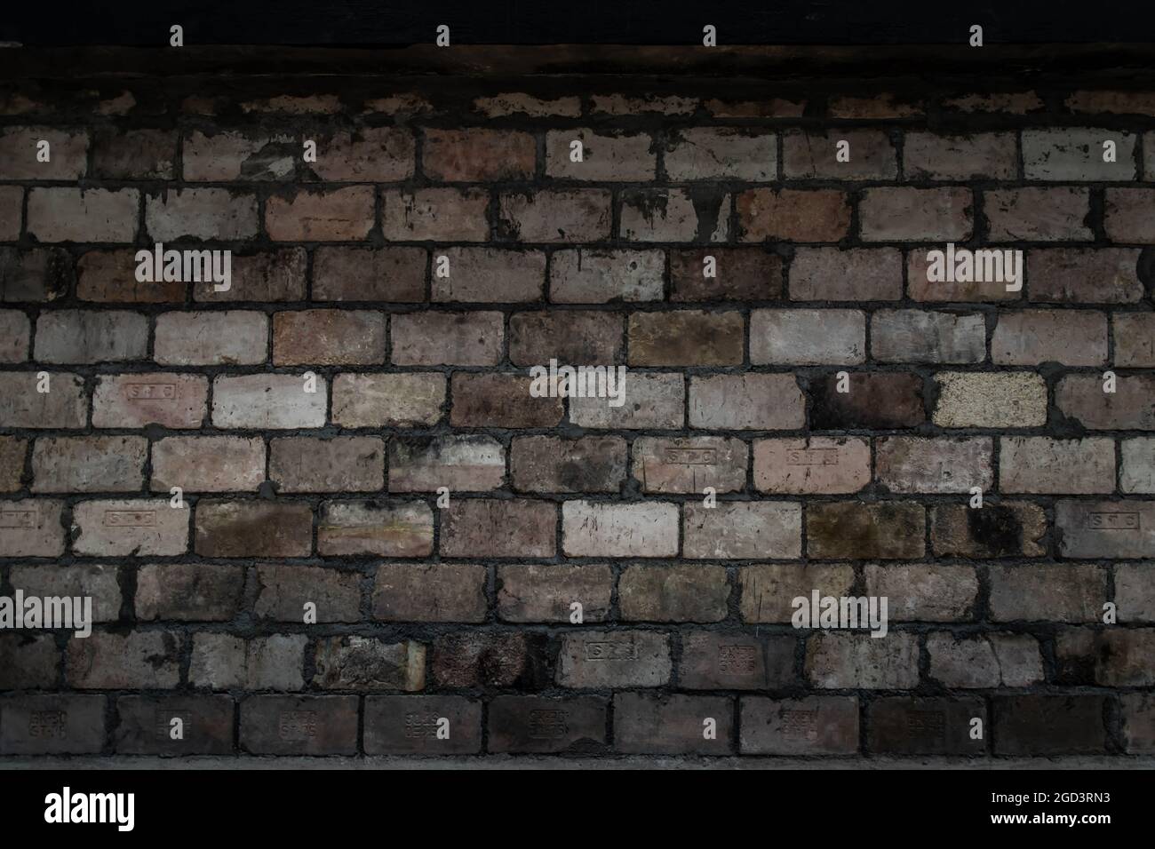 Museum Wall Texture