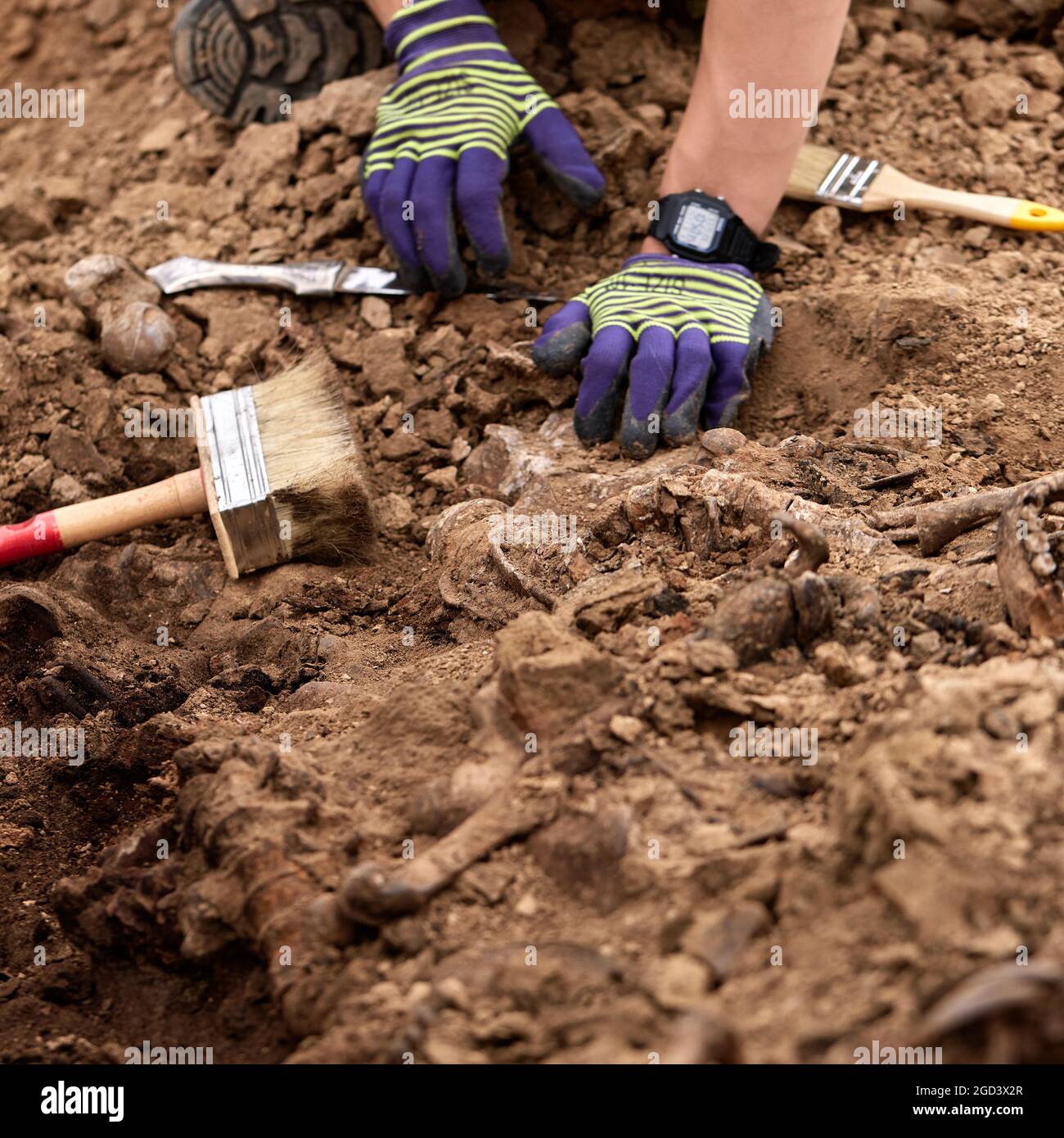 Archaeological excavations, Work of the search team at the site of a ...