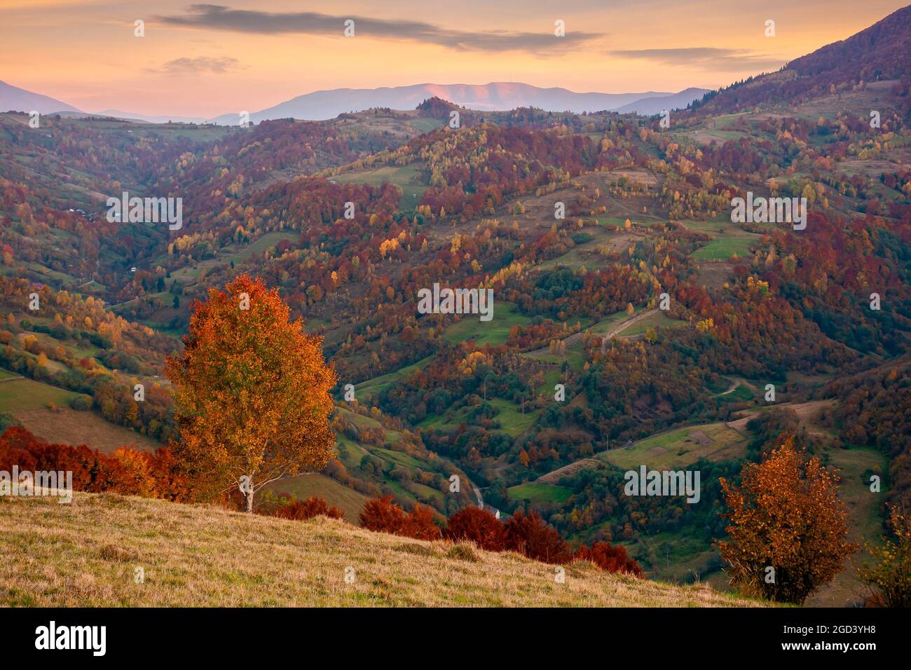 mountainous countryside at dusk. beautiful rural landscape with rolling ...