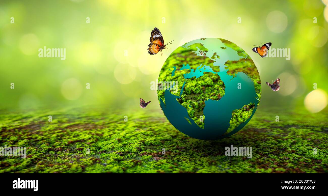 Concept Save the world save environment The world is in the grass of ...