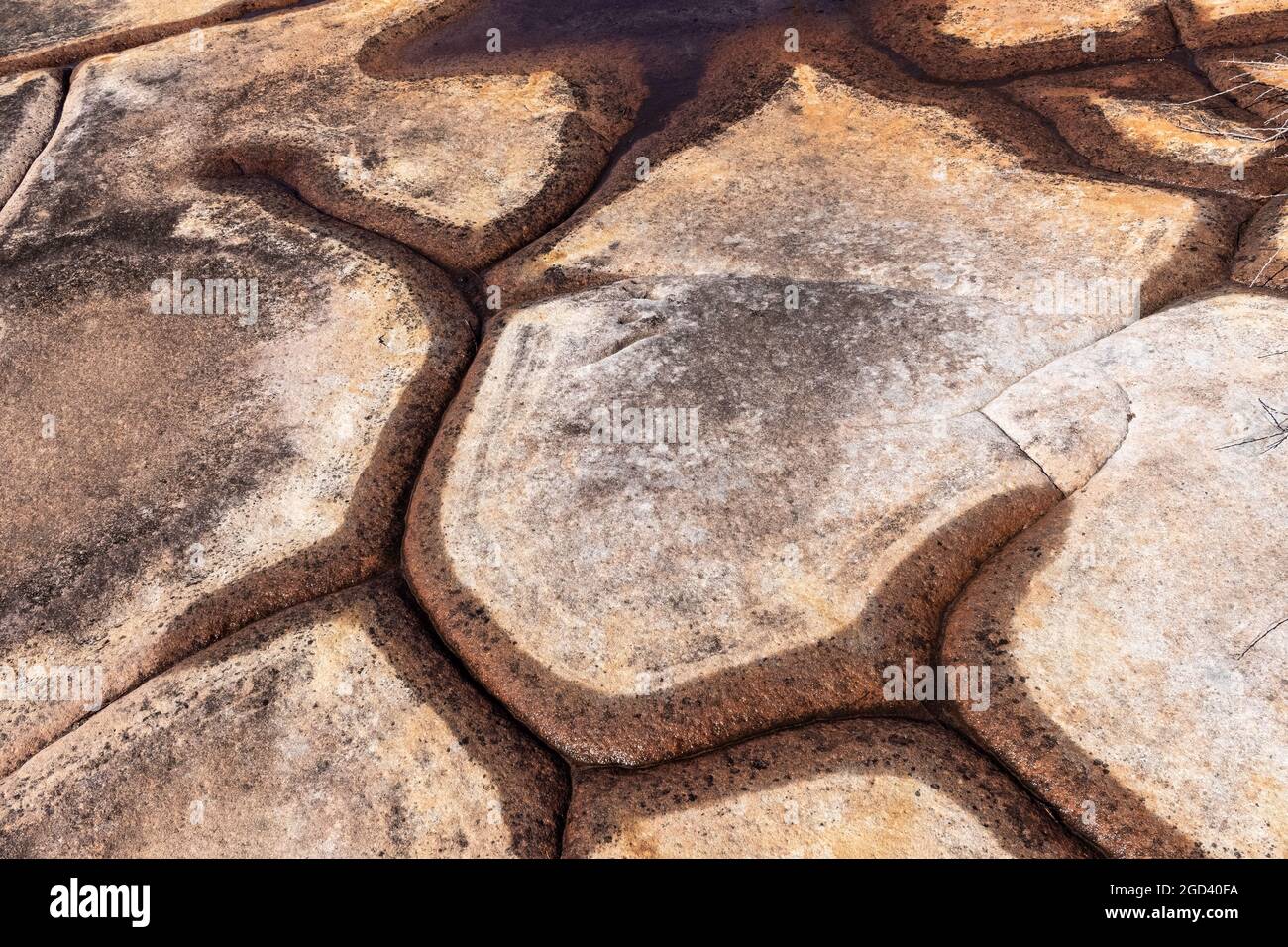 Tessellated sandstone rock platform in the Royal National Park, Sydney ...