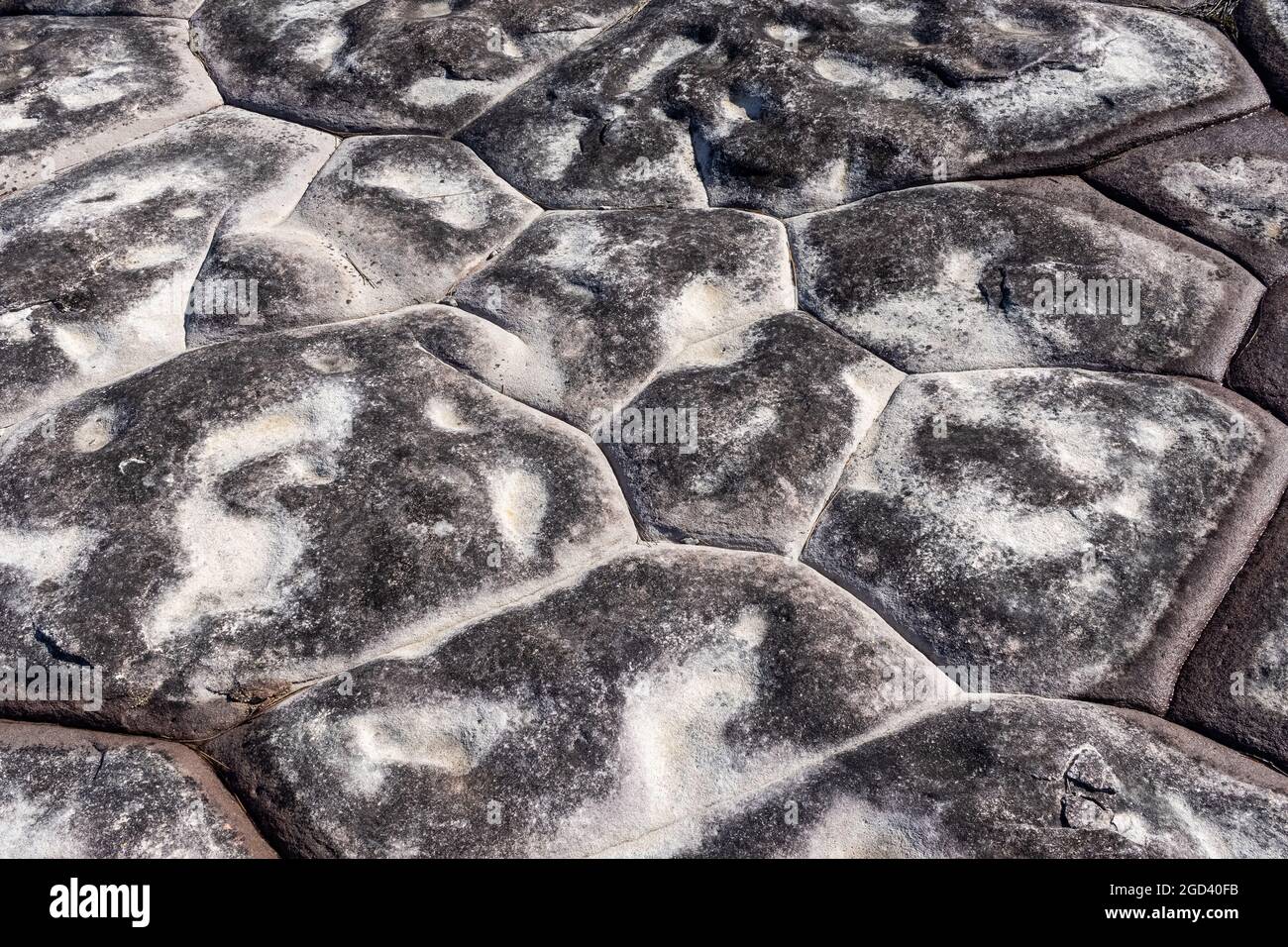 Tessellated sandstone rock platform in the Royal National Park, Sydney ...
