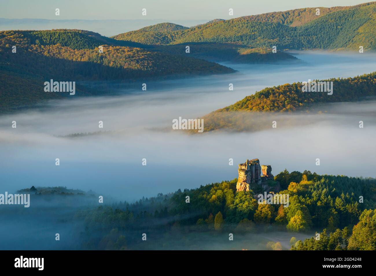 Lembach hi-res stock photography and images - Alamy