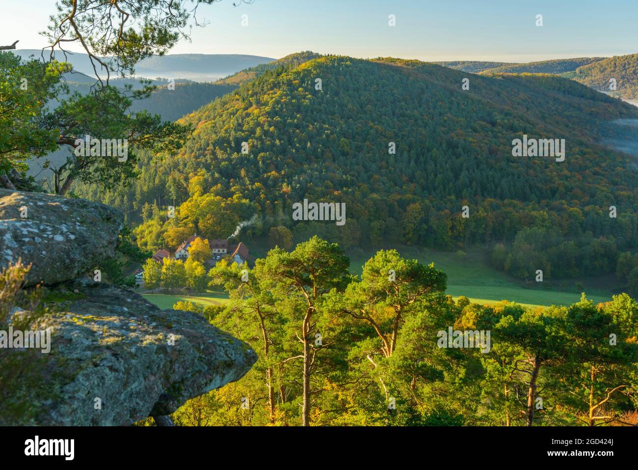 FRANCE, BAS-RHIN (67), NORTHERN VOSGES REGIONAL NATURE PARK, WINGEN ...