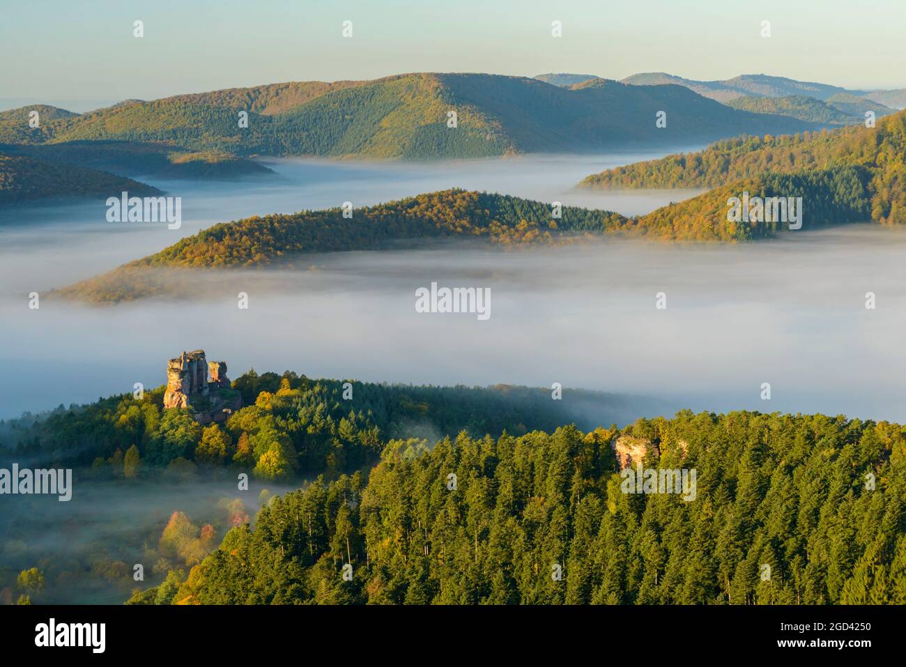 Fleckenstein hi-res stock photography and images - Alamy