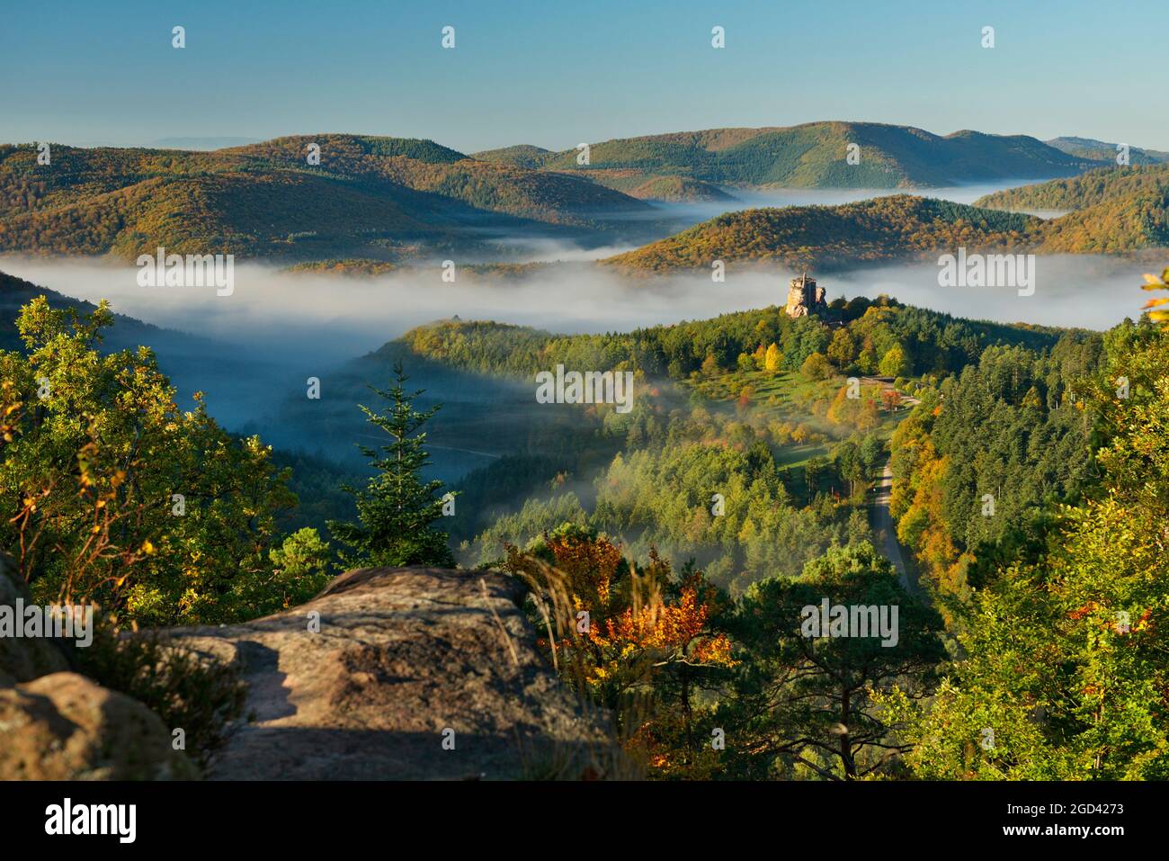 Lembach hi-res stock photography and images - Alamy