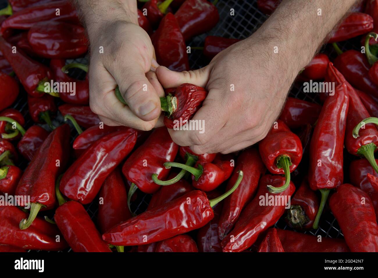 Interior of a farm in the basque country hi-res stock photography and ...