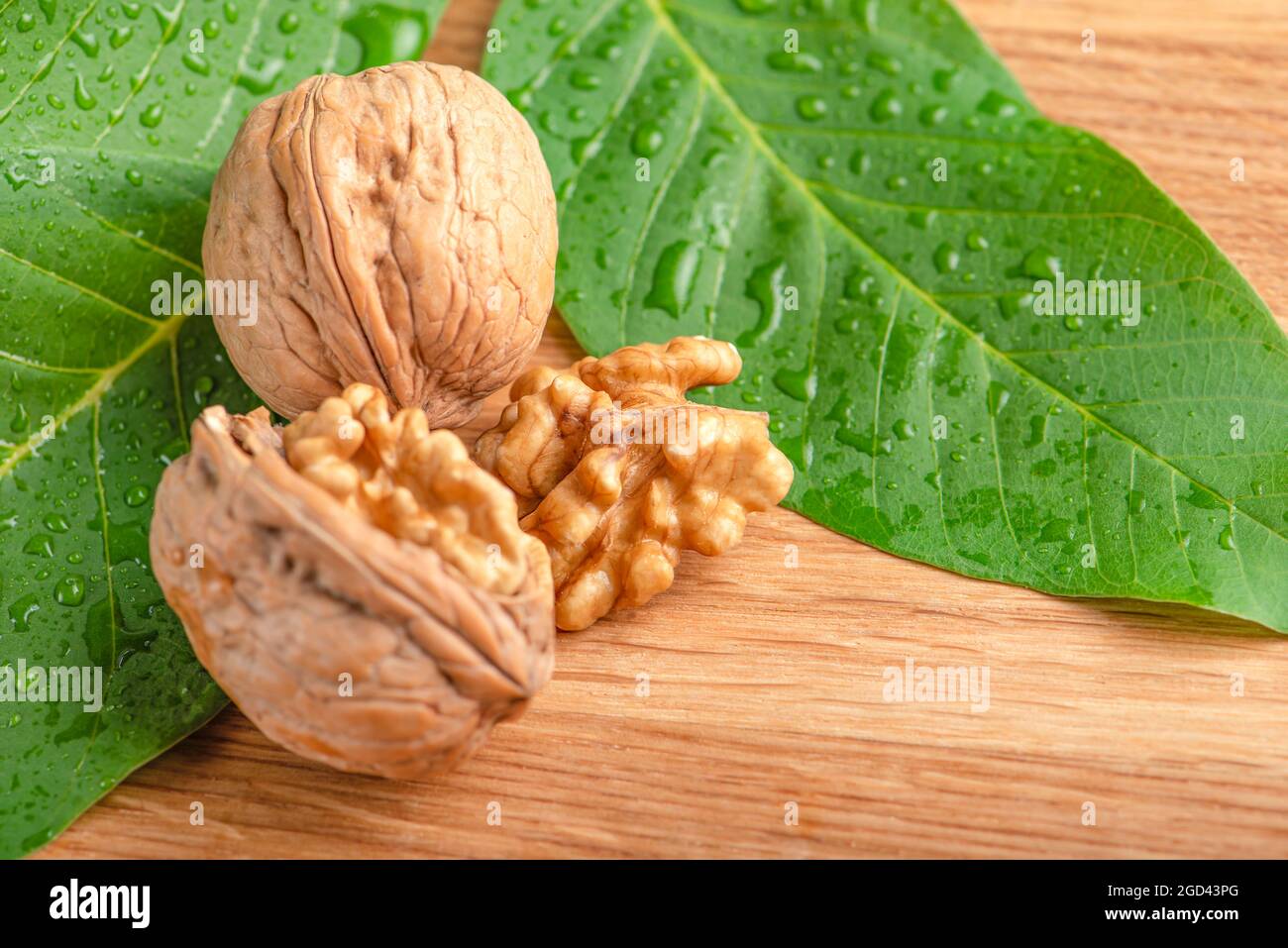Walnut tree fruits hi-res stock photography and images - Alamy