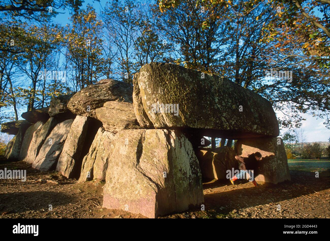 ILLE ET VILAINE (35) BRITTANY, ESSE, NEOLITHIC DOLMEN LA ROCHE AUX FEES ...