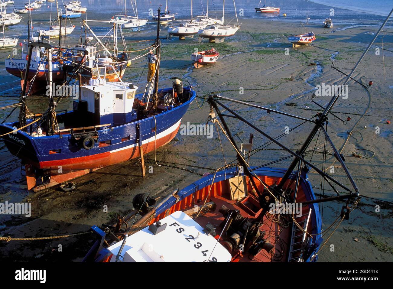 FRANCE, COTES D ARMOR (22), EMERALD COAST, PORT ERQUY ERQUY PORT, WHERE ...