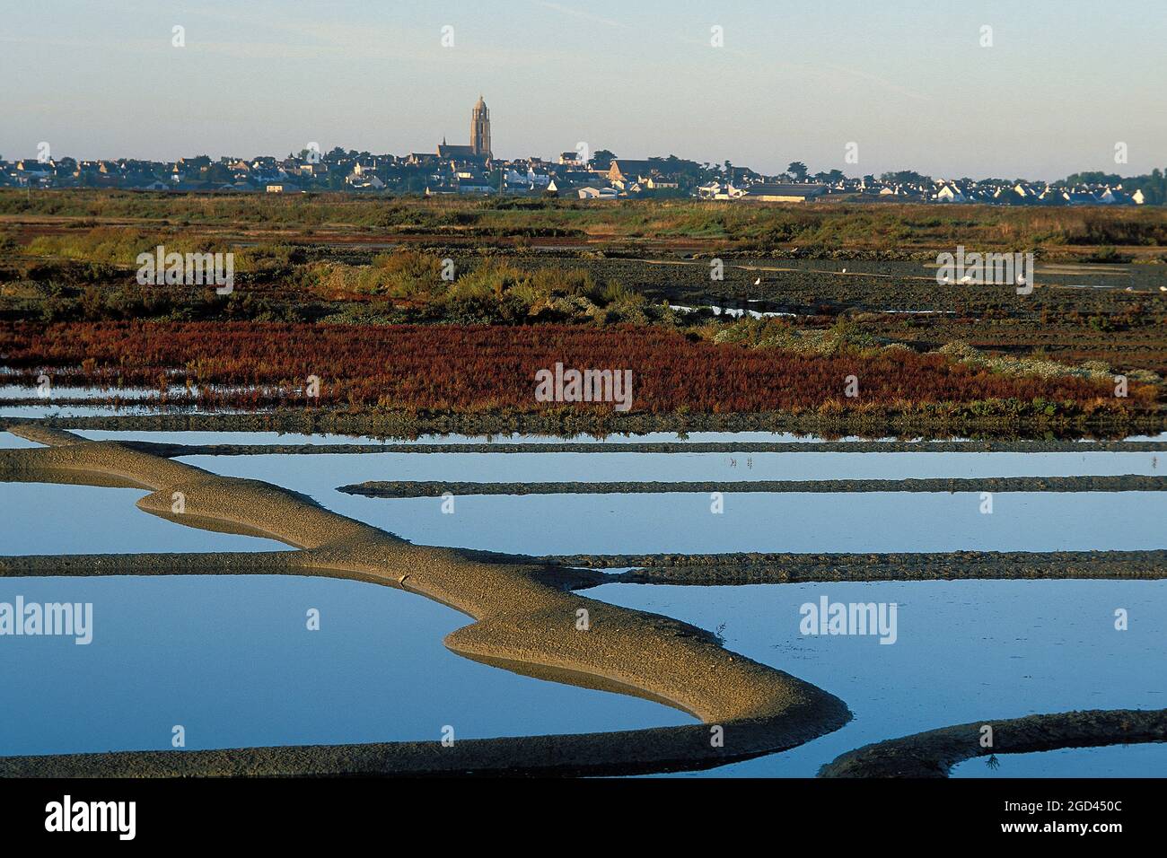 FRANCE, LOIRE ATLANTIQUE(44), PENINSULA OF GUERANDE, THE SALT MARSHES ...