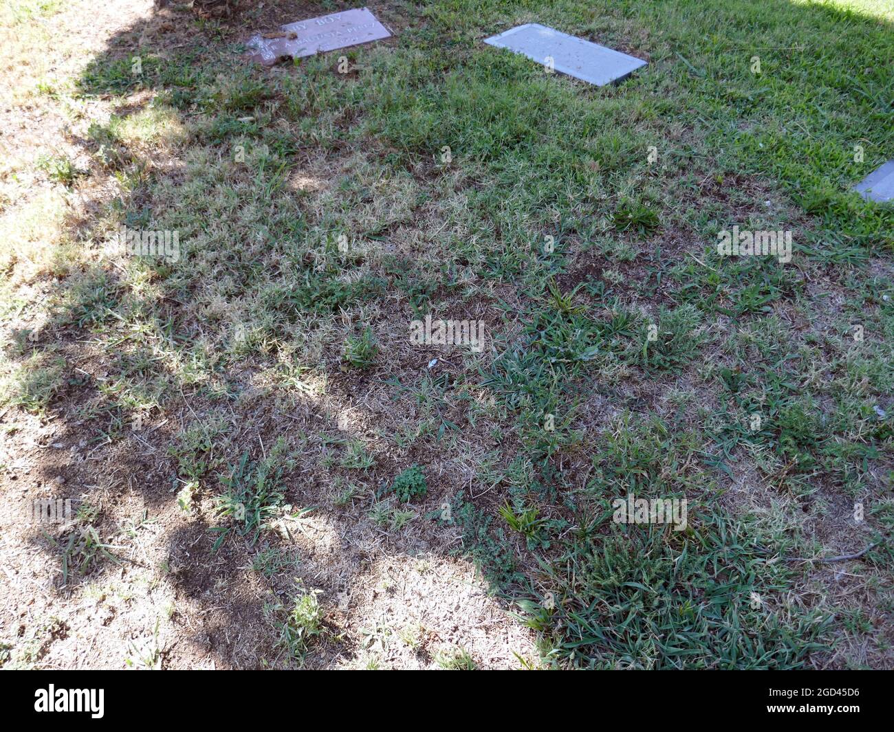 Los Angeles, California, USA 9th August 2021 A general view of ...