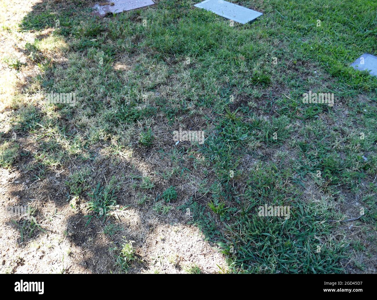 Los Angeles, California, USA 9th August 2021 A general view of ...