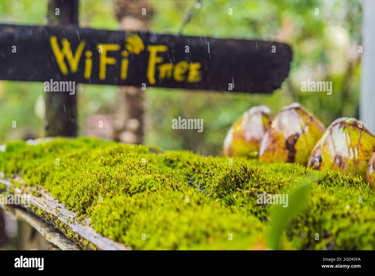 Wi fi in nature hi-res stock photography and images - Alamy