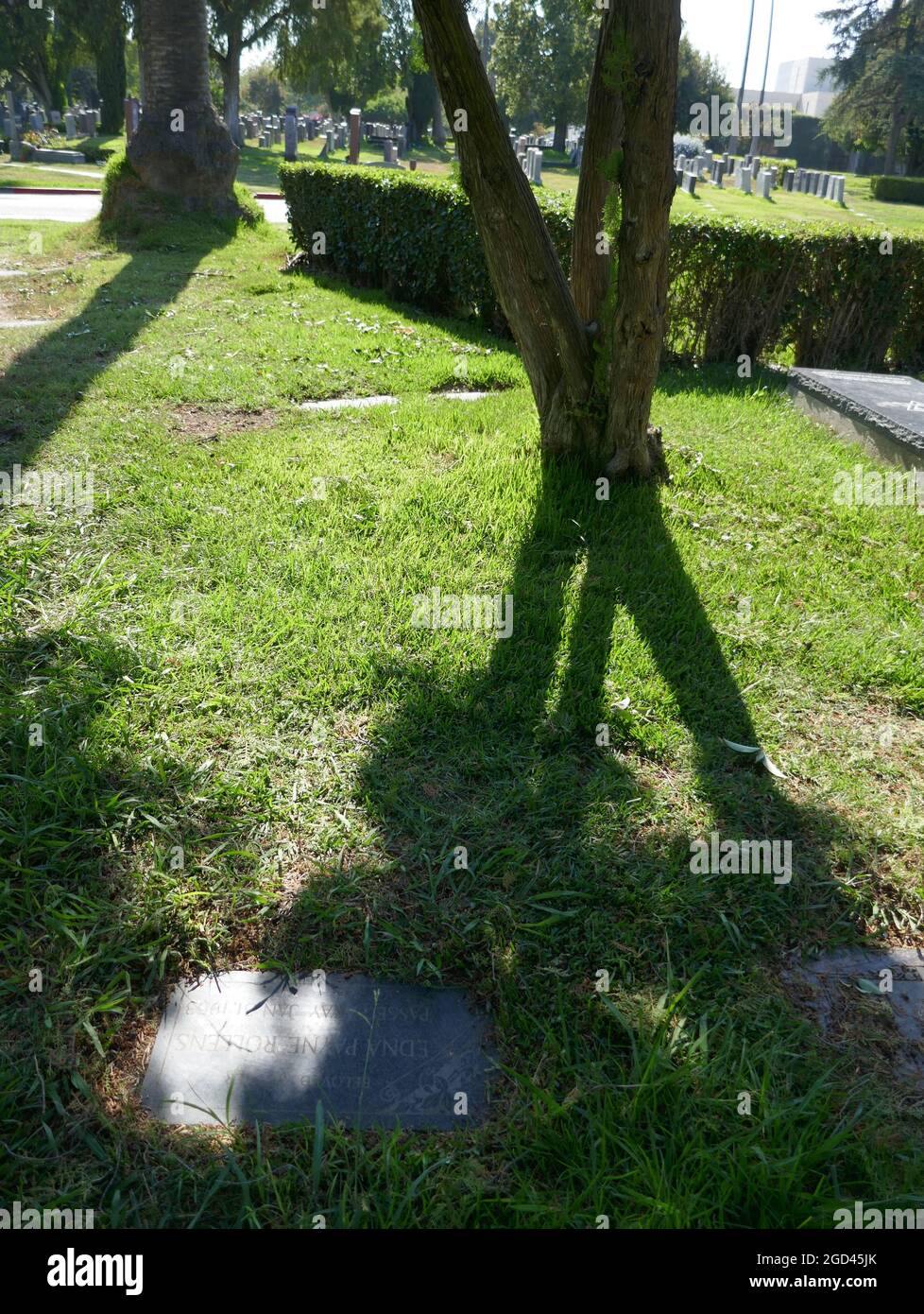 Los Angeles, California, USA 9th August 2021 A general view of ...